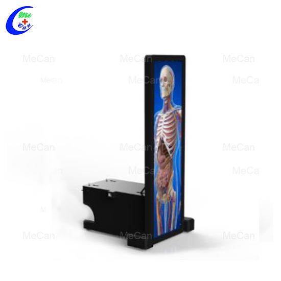 Human Body Anatomy Model | Interactive Learning